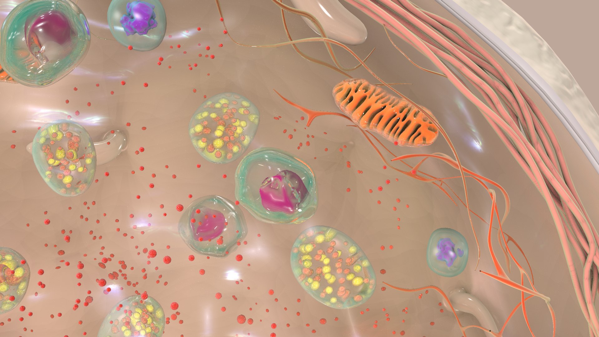 Platelet membrane glycogen 3D - TurboSquid 1504500