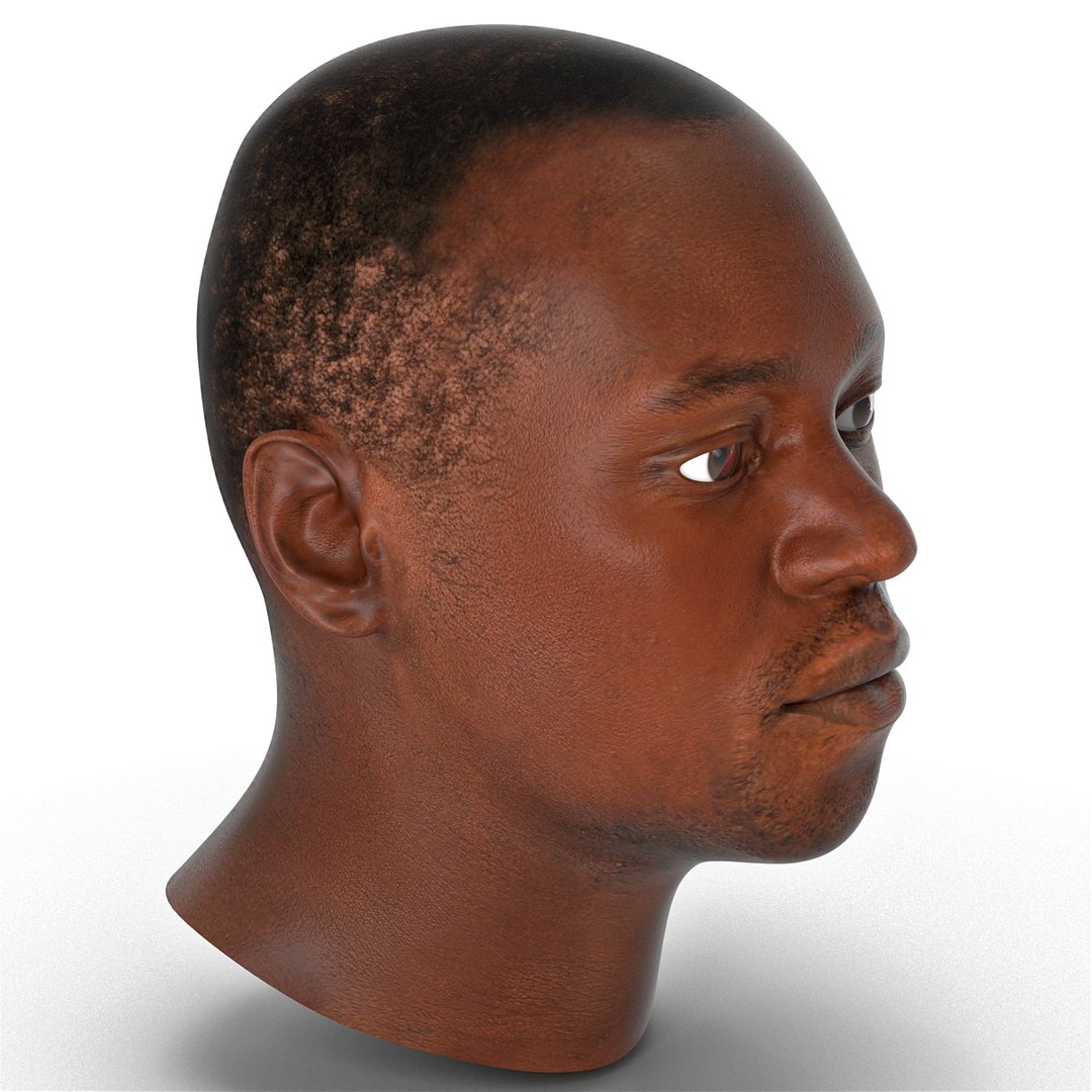 African American Male Head X