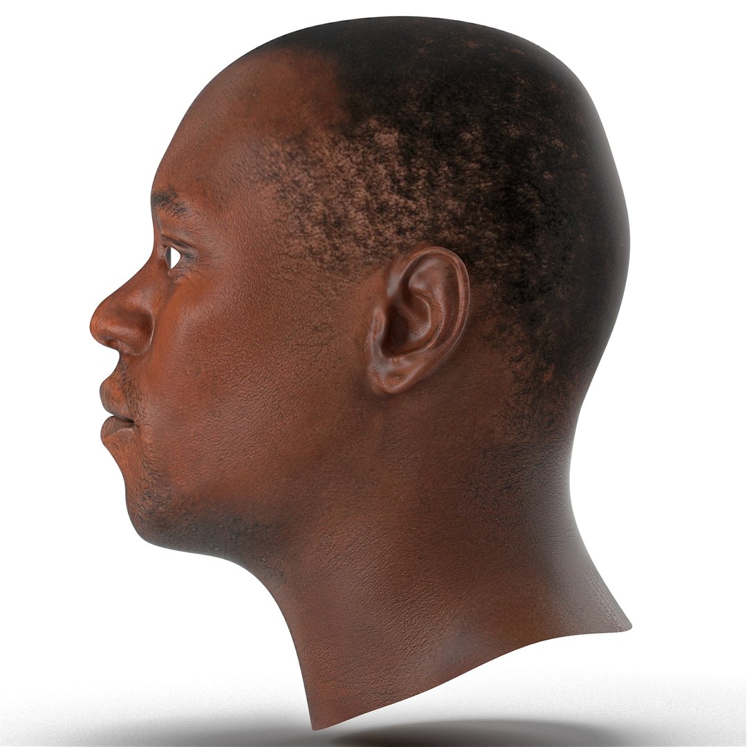 African American Male Head X