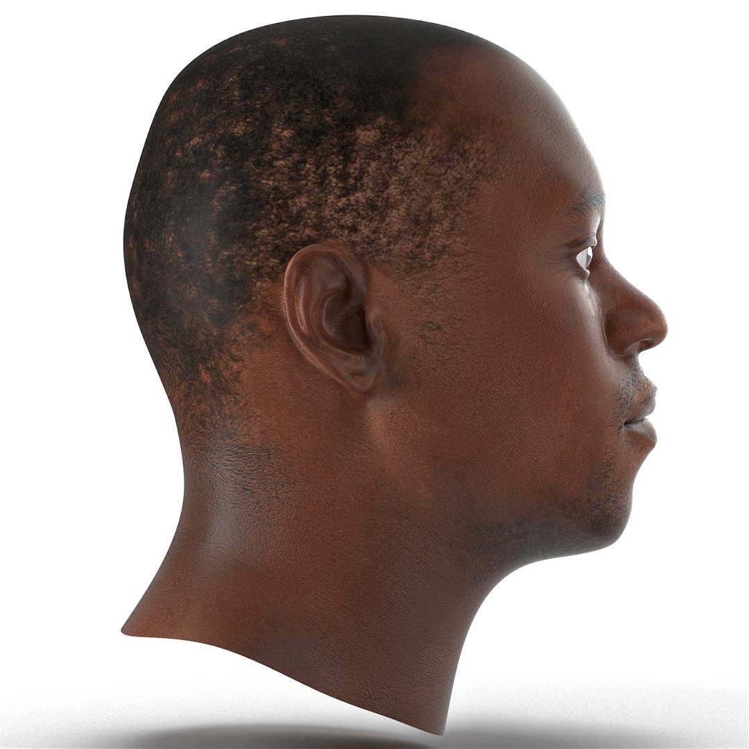 African American Male Head X