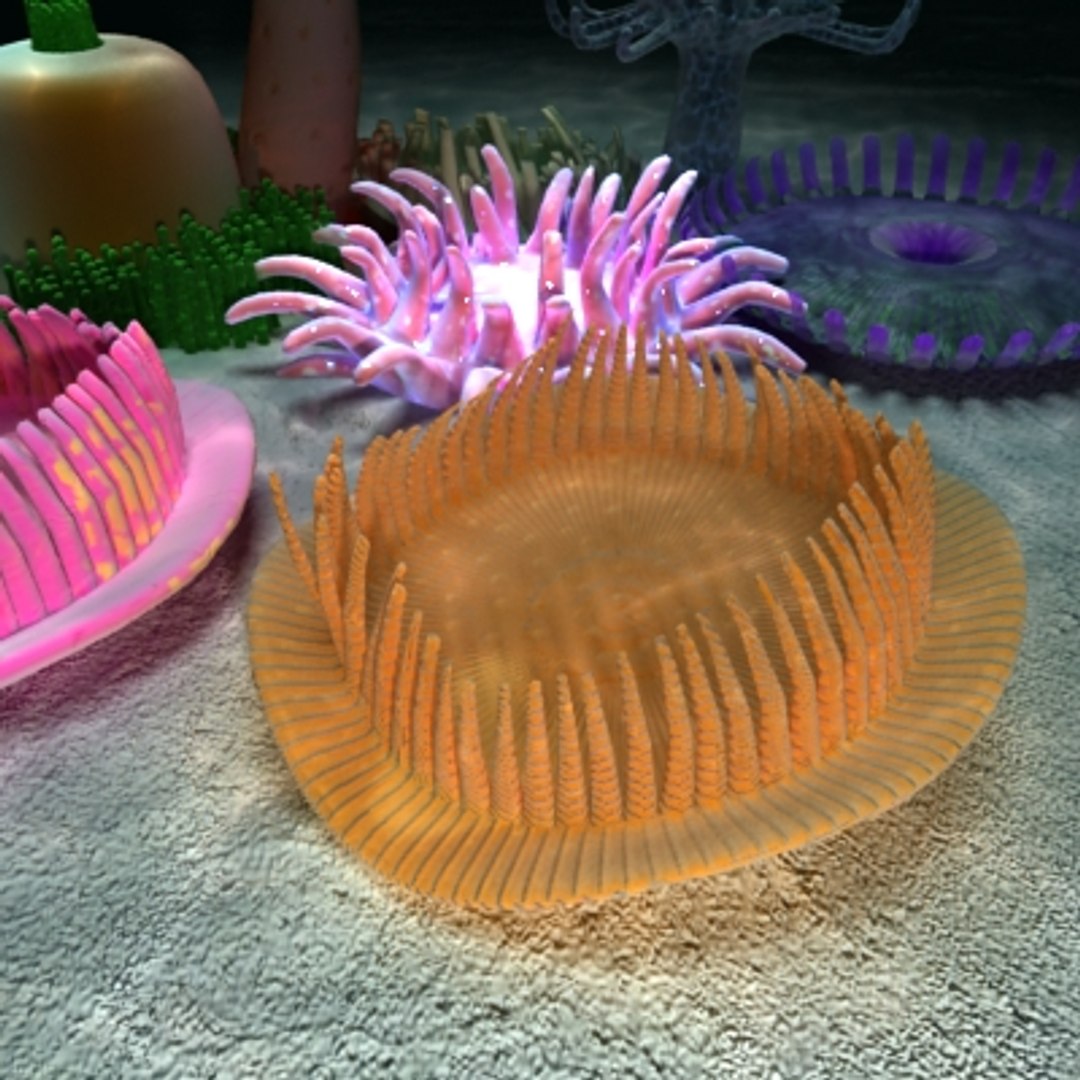 3ds Max Set Actinias