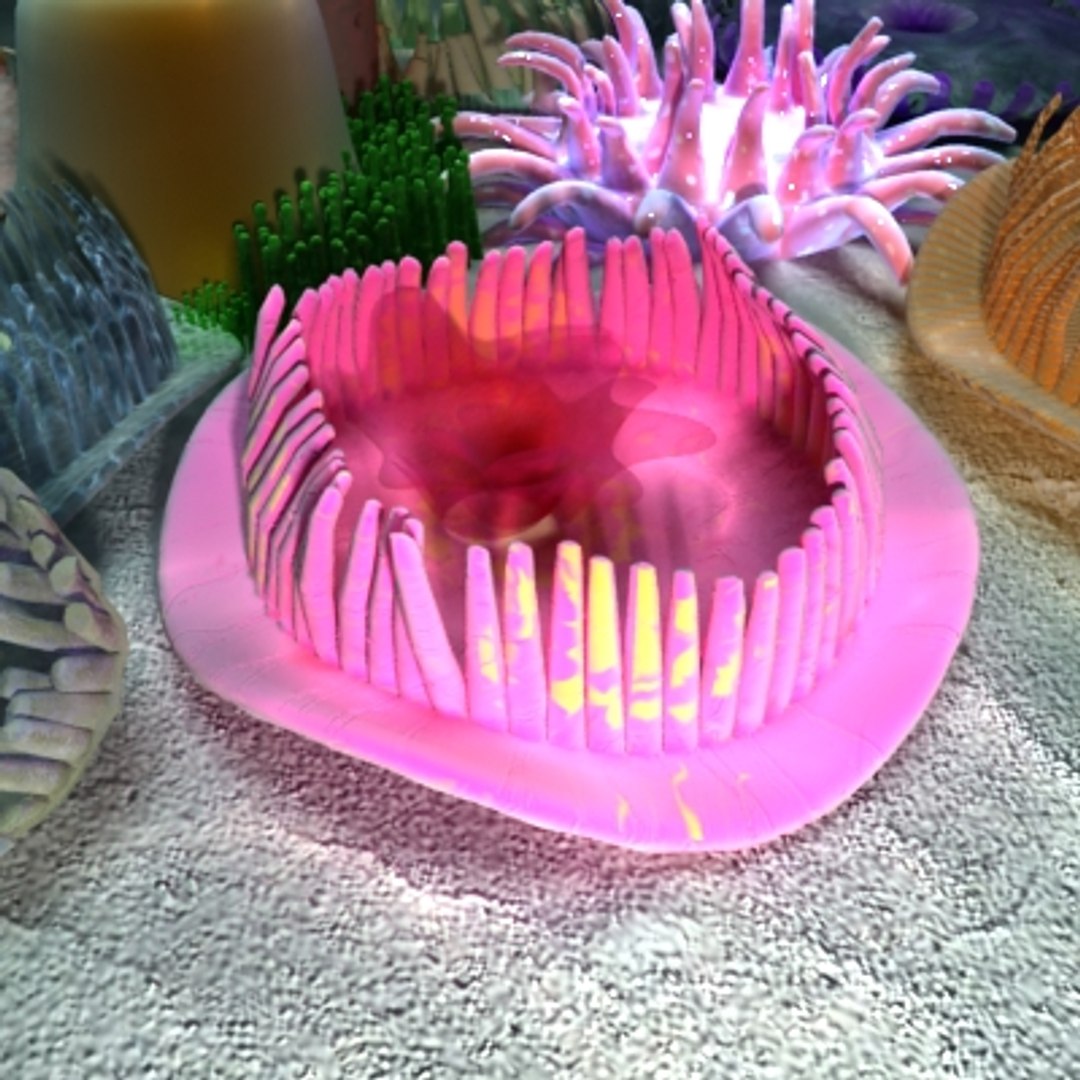 3ds Max Set Actinias