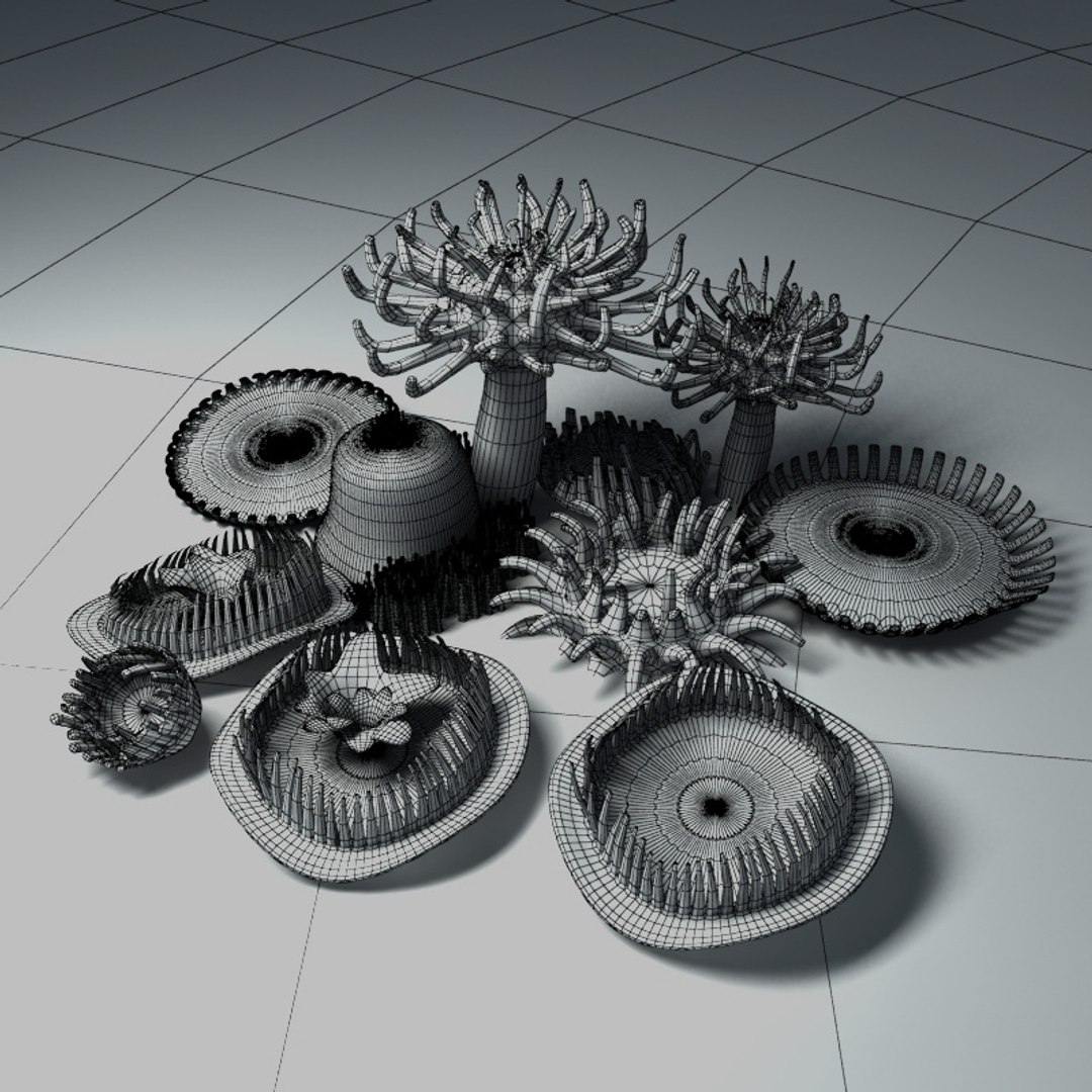 3ds Max Set Actinias
