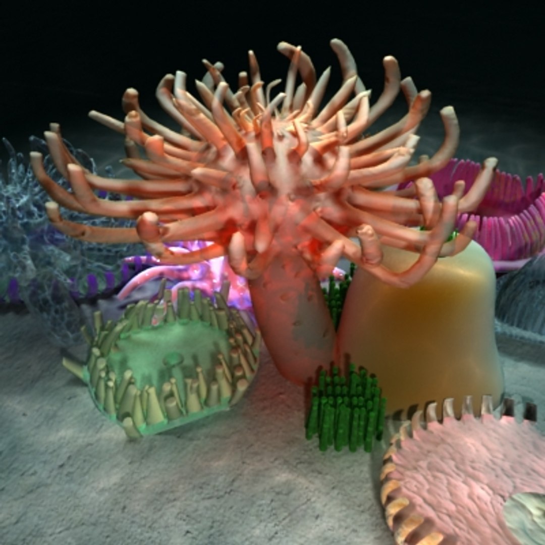 3ds Max Set Actinias