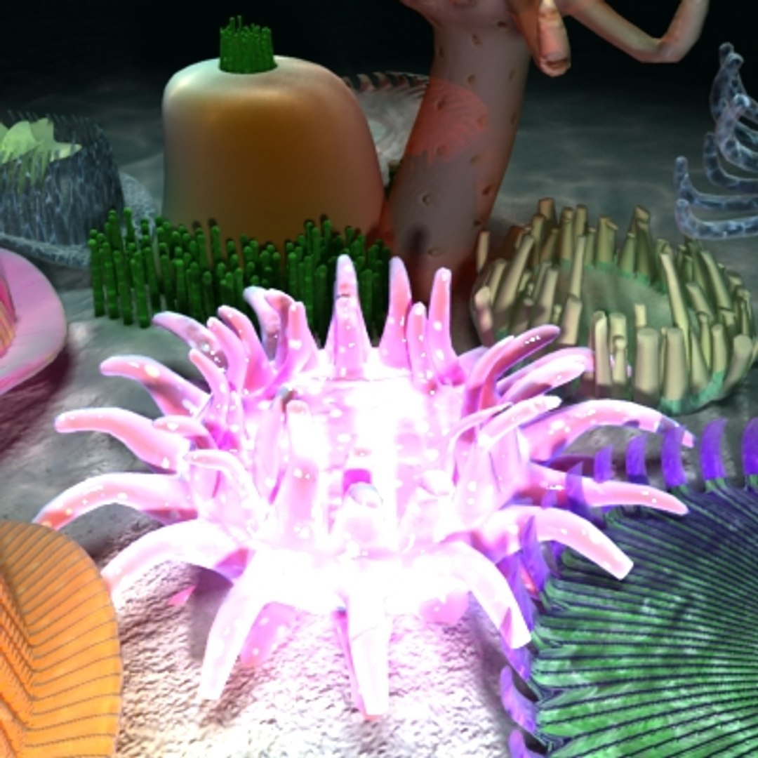 3ds Max Set Actinias
