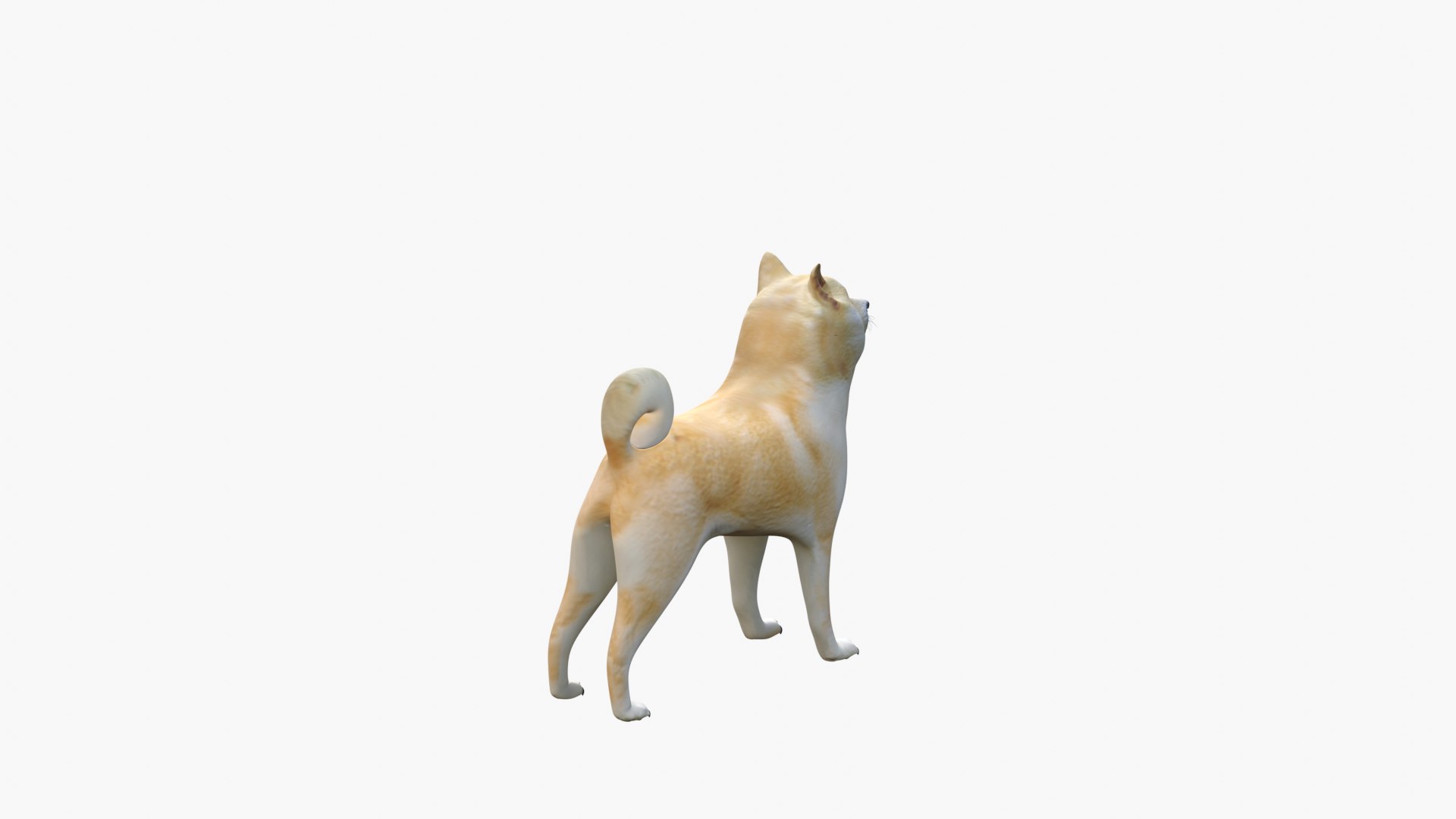 Doggo 3D Model - TurboSquid 1798721