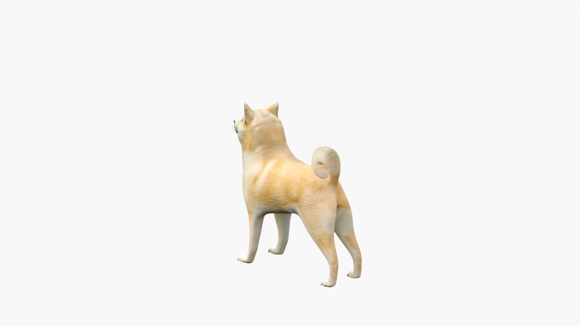 Doggo 3D Model - TurboSquid 1798721