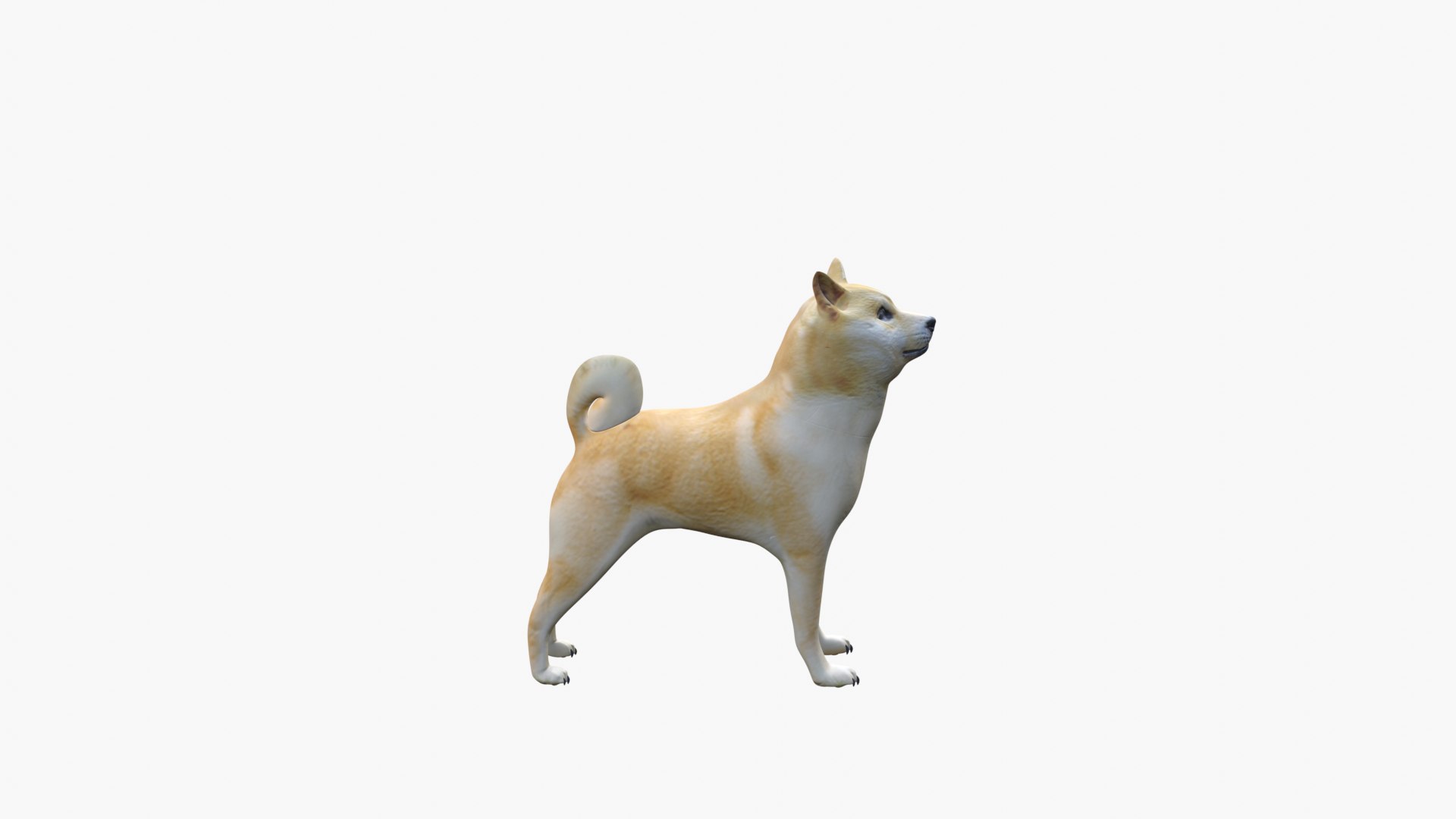 Doggo 3D Model - TurboSquid 1798721