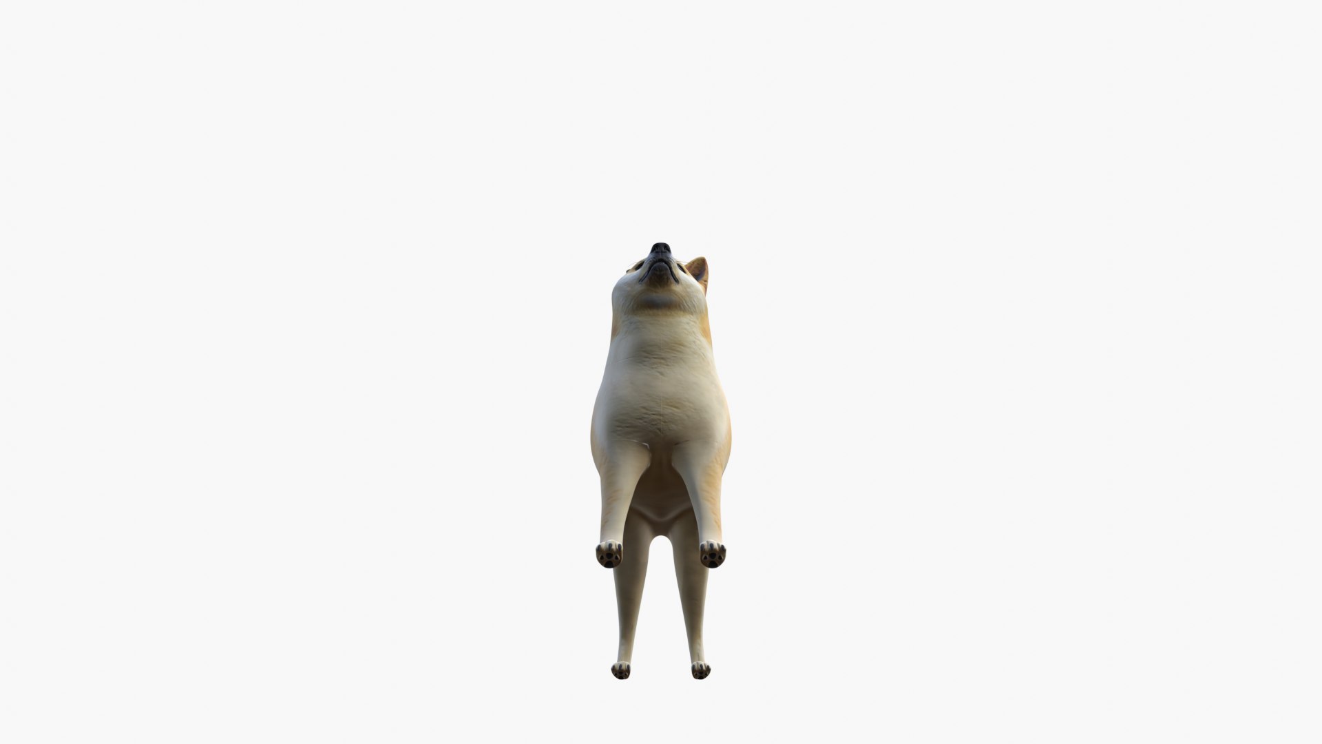 Doggo 3D Model - TurboSquid 1798721