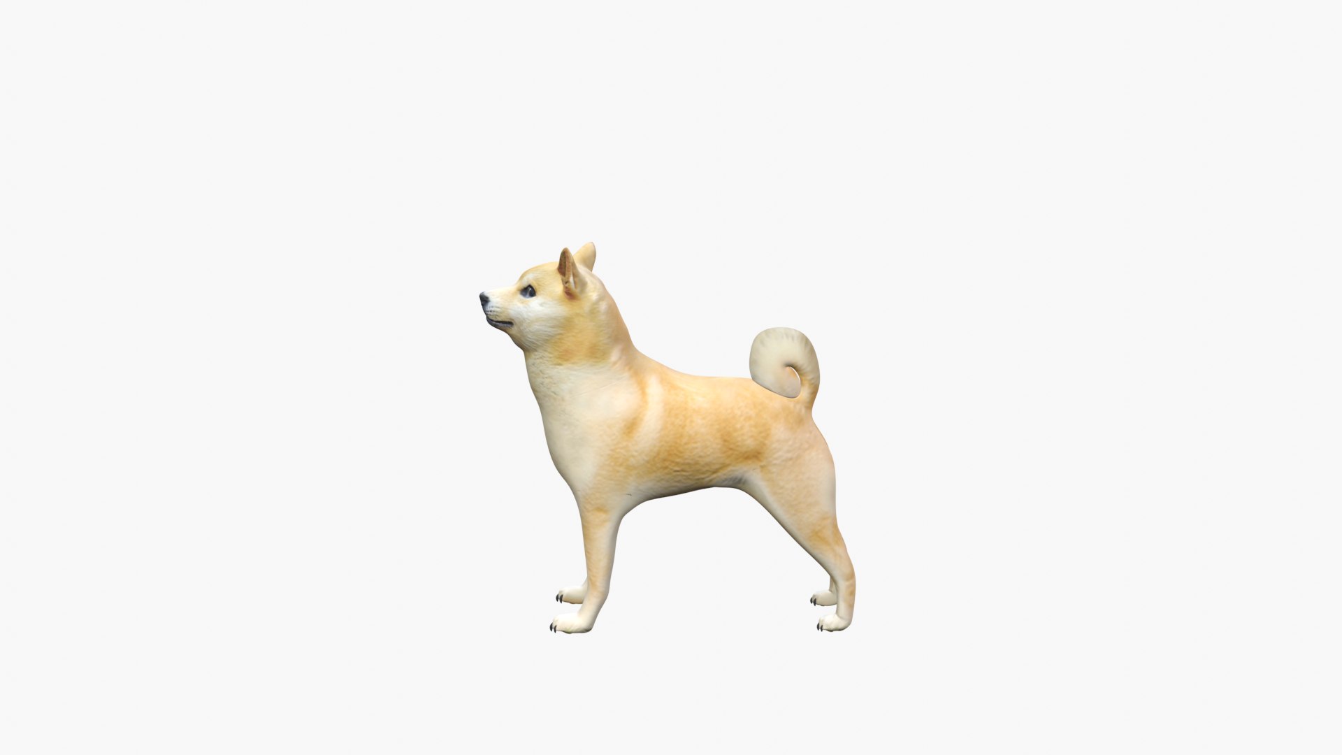 Doggo 3D Model - TurboSquid 1798721