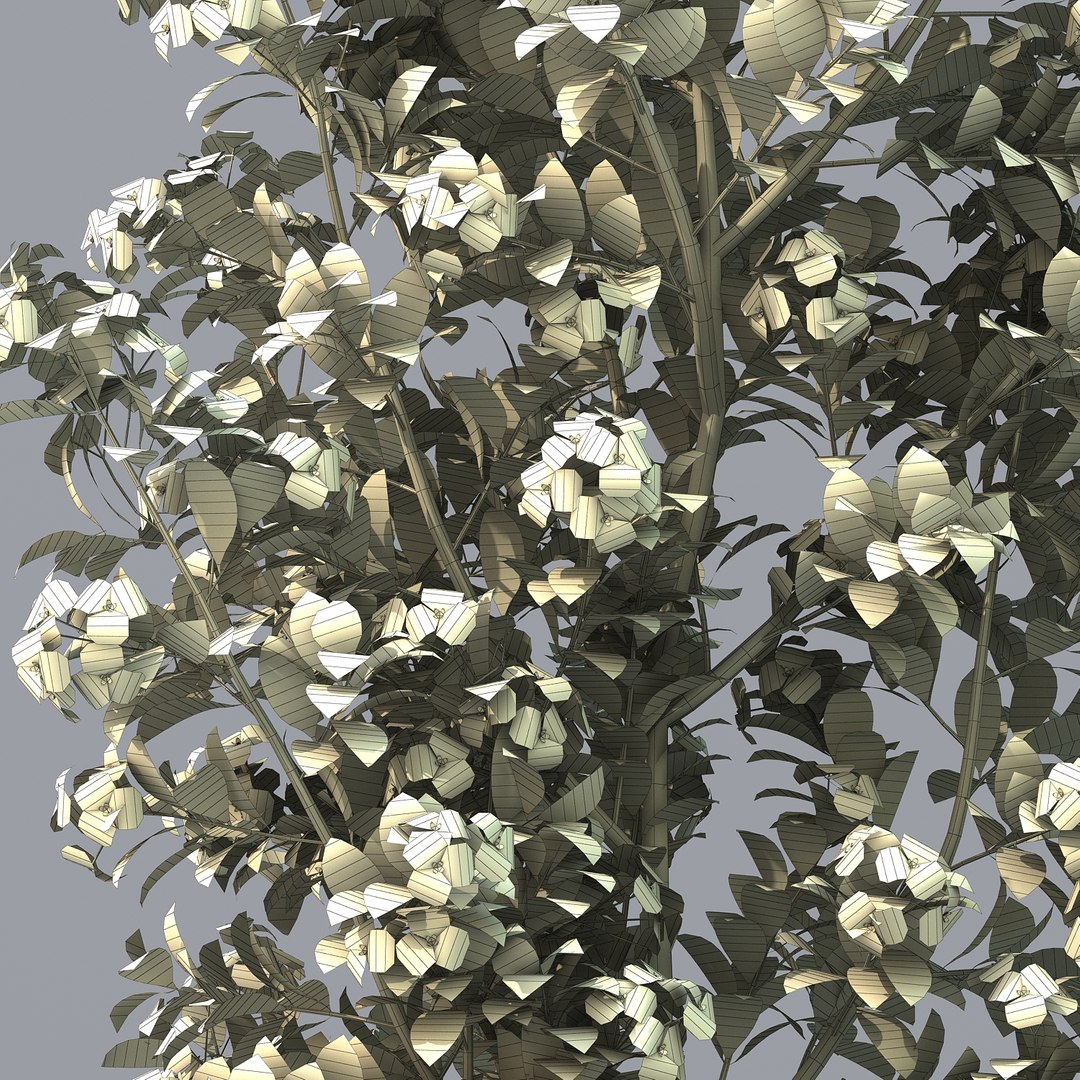 Tree Scatter 3D - TurboSquid 1173504