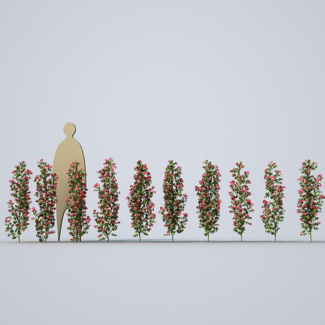 Tree Scatter 3D - TurboSquid 1173504