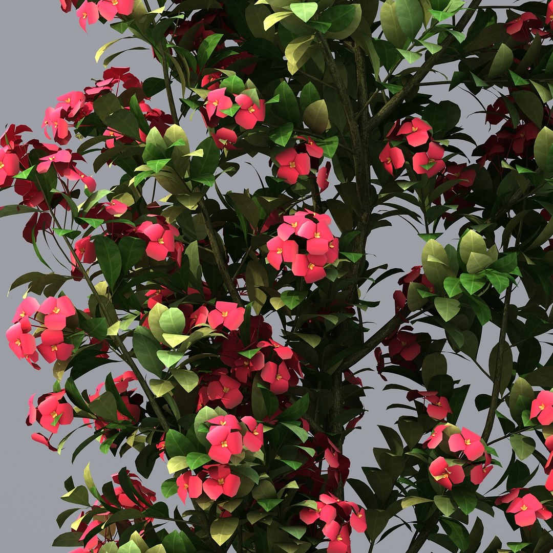 Tree Scatter 3D - TurboSquid 1173504