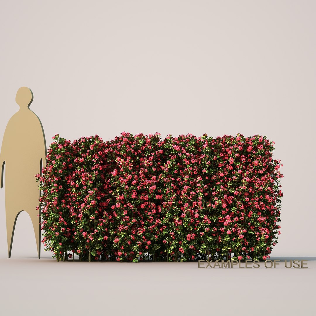 Tree Scatter 3D - TurboSquid 1173504