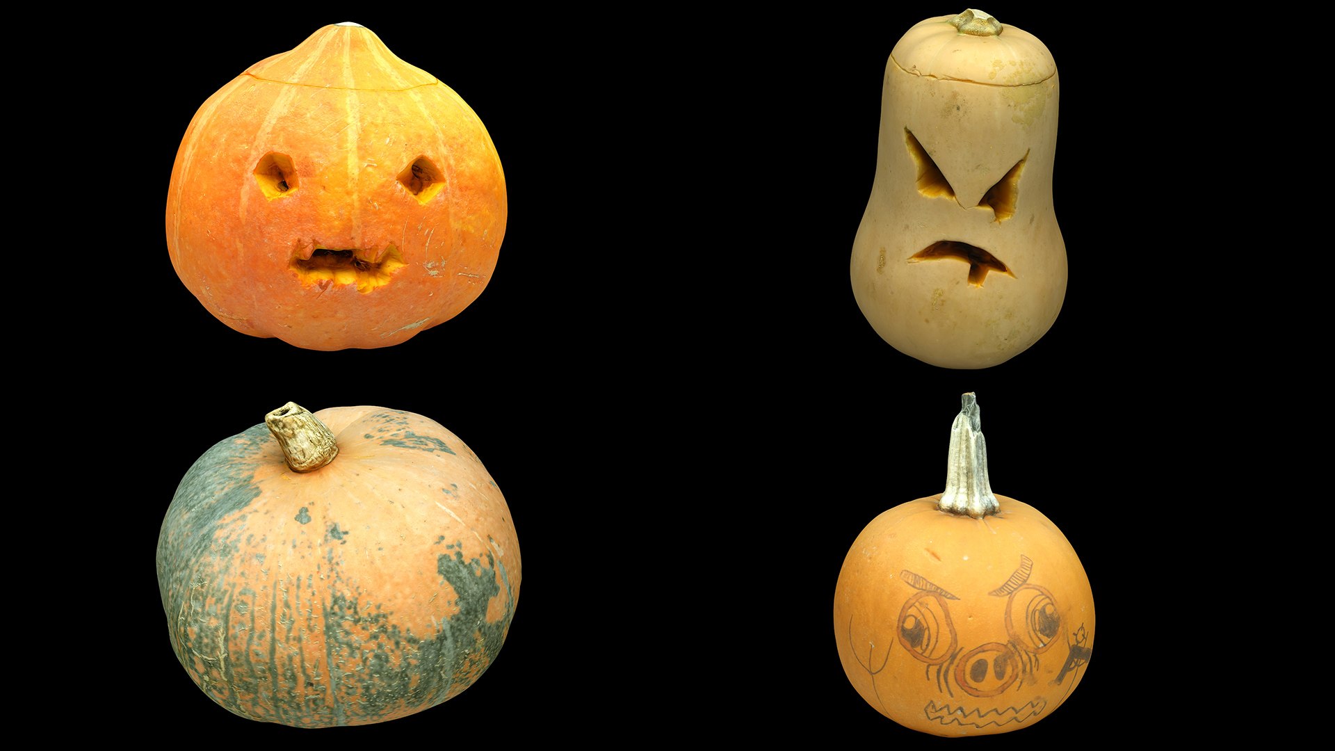 3D Vegetables Pumpkin Collection 05 model - TurboSquid 1984445