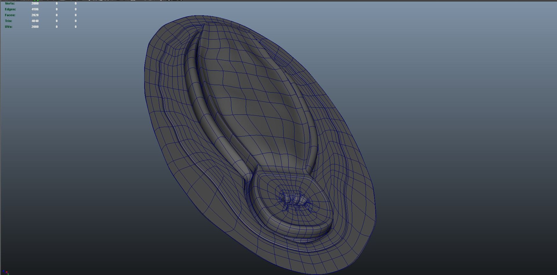 3d Chitons Model