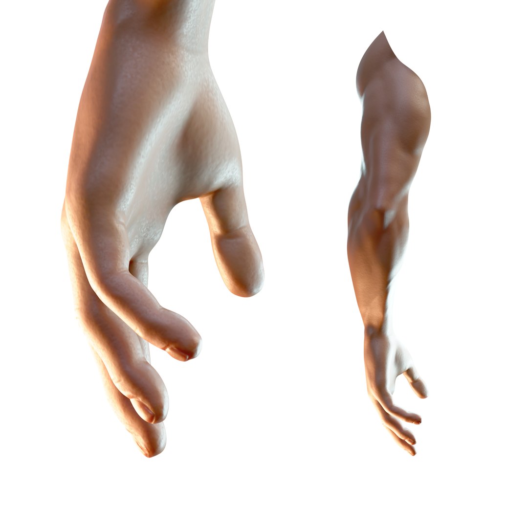 3D Dark Skin Hand Anatomy Model - TurboSquid 1616295