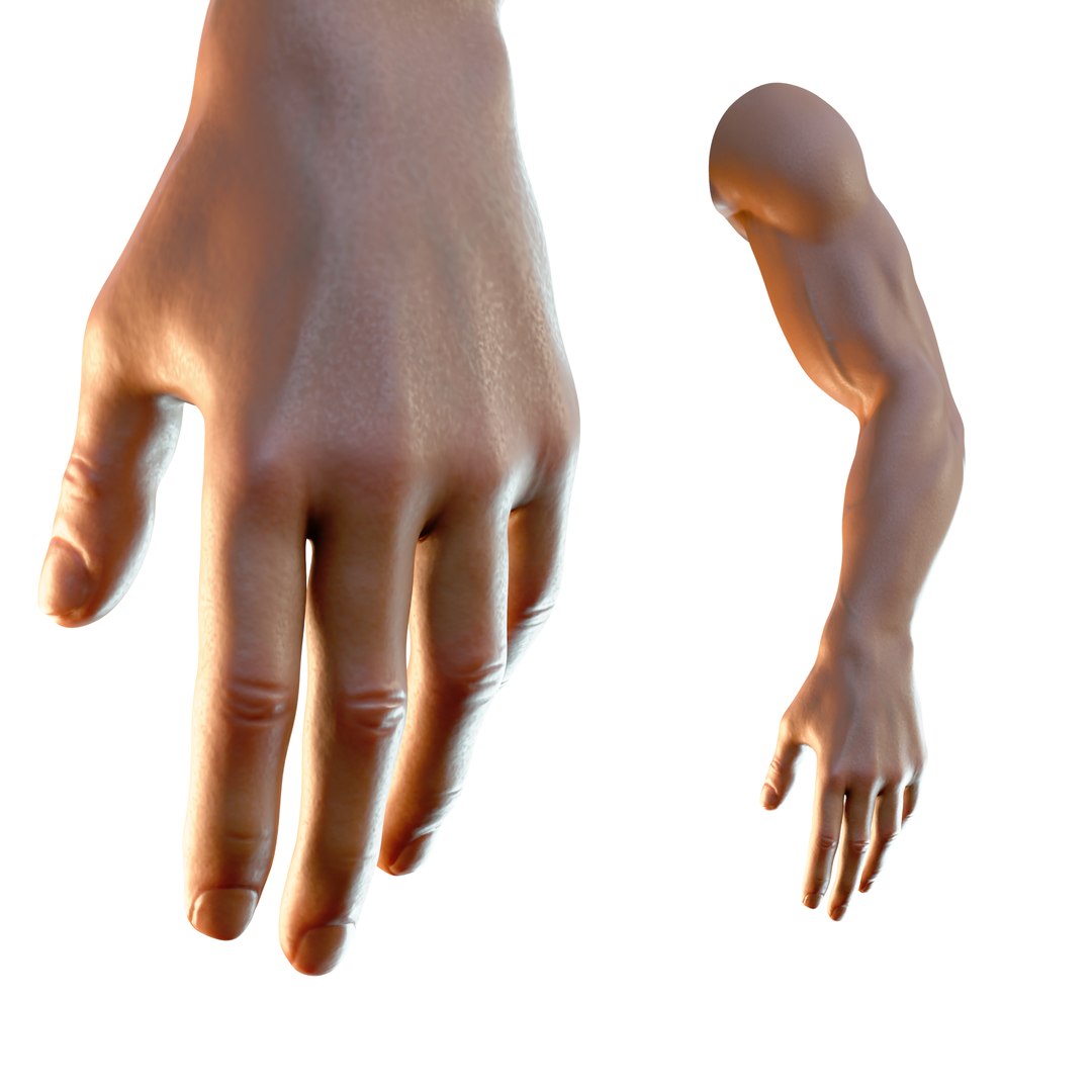 3D Dark Skin Hand Anatomy Model - TurboSquid 1616295