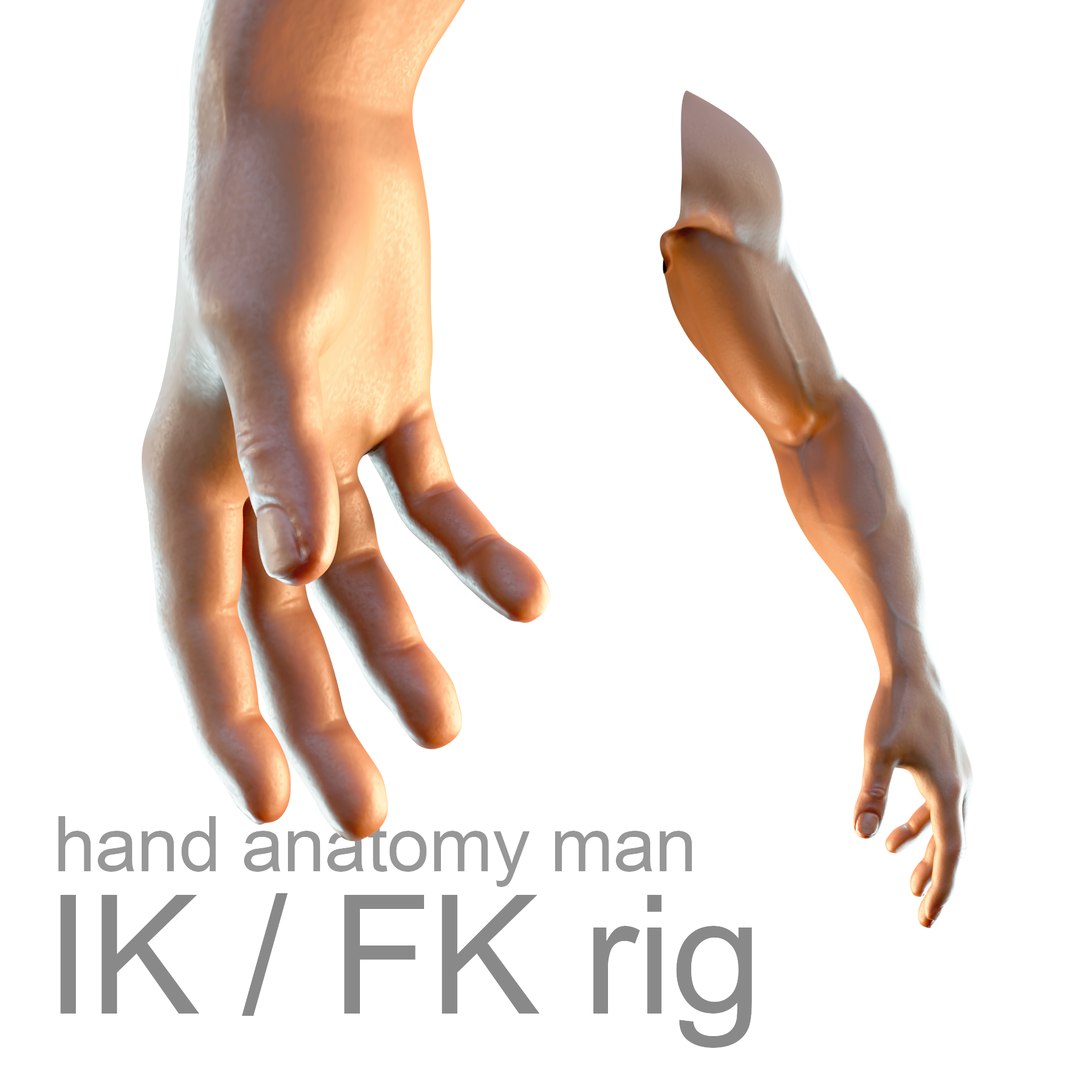 3D Dark Skin Hand Anatomy Model - TurboSquid 1616295