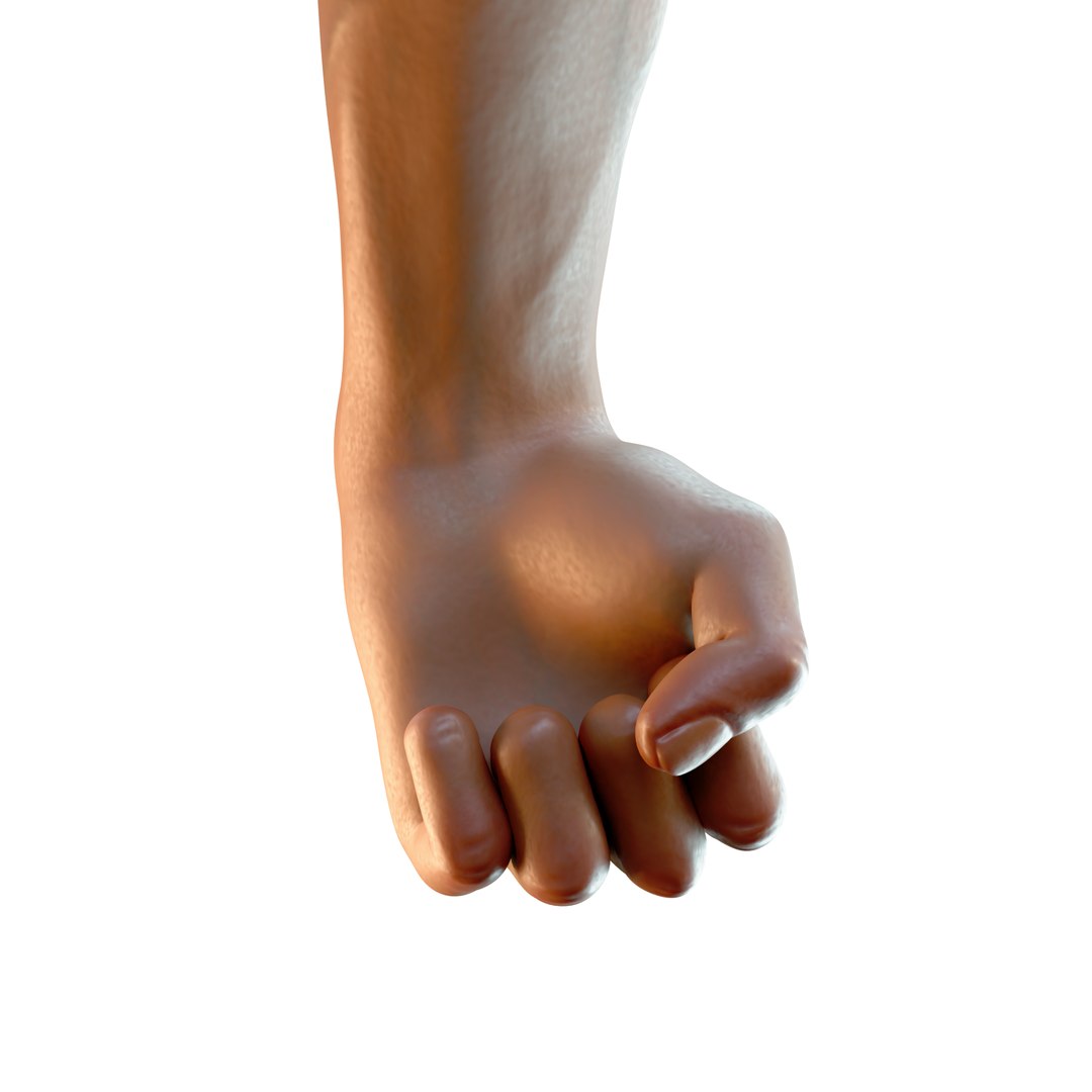 3D Dark Skin Hand Anatomy Model - TurboSquid 1616295