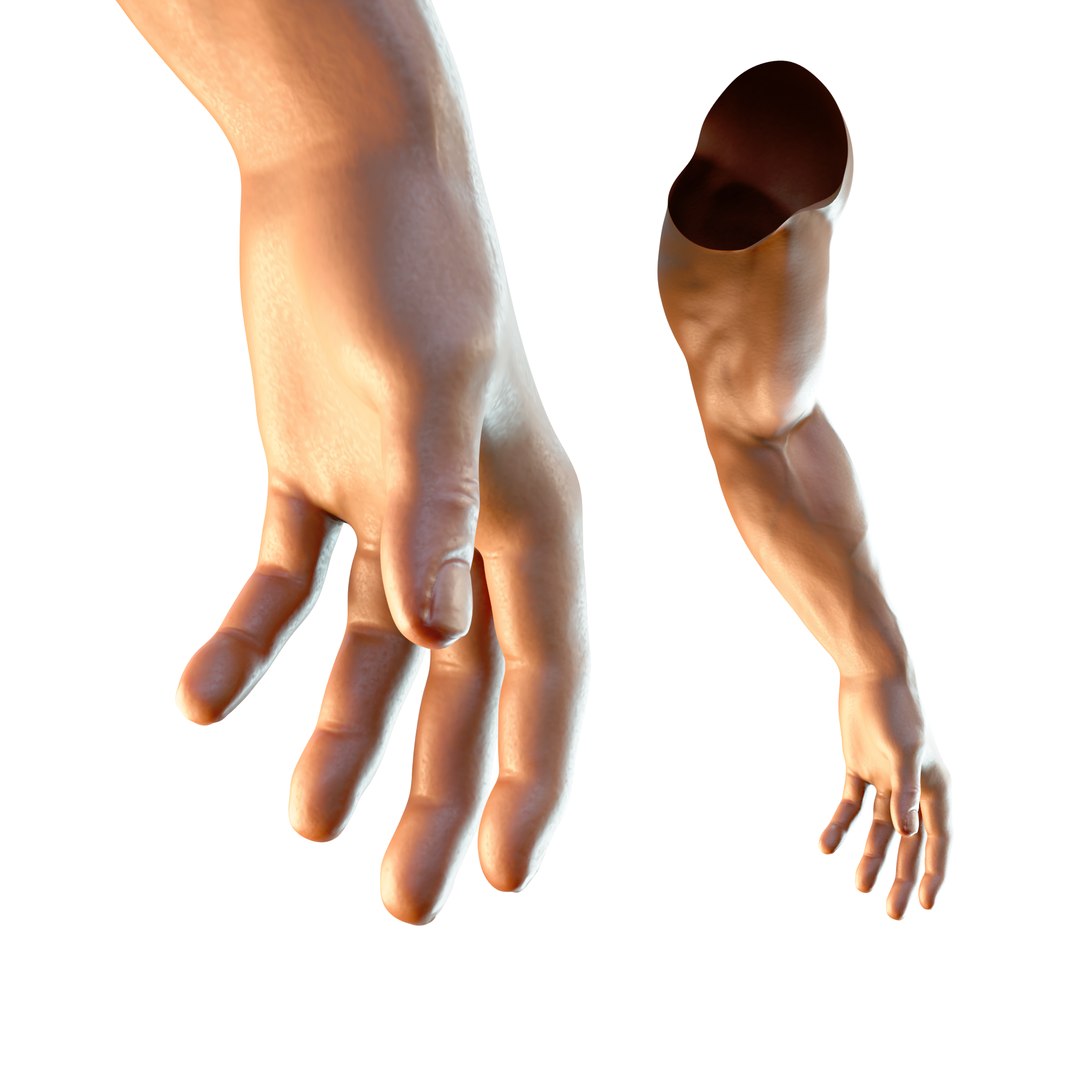 3D Dark Skin Hand Anatomy Model - TurboSquid 1616295