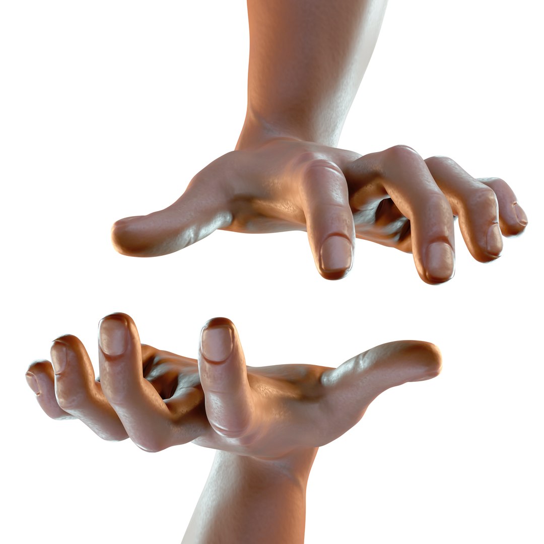 3D Dark Skin Hand Anatomy Model - TurboSquid 1616295