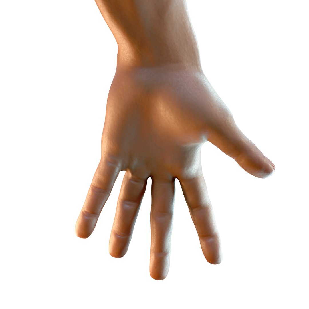 3D Dark Skin Hand Anatomy Model - TurboSquid 1616295