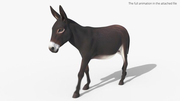 modelo 3d Burro doméstico caminando animado, preparado para Blender ...