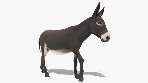 modelo 3d Burro doméstico caminando animado, preparado para Blender ...