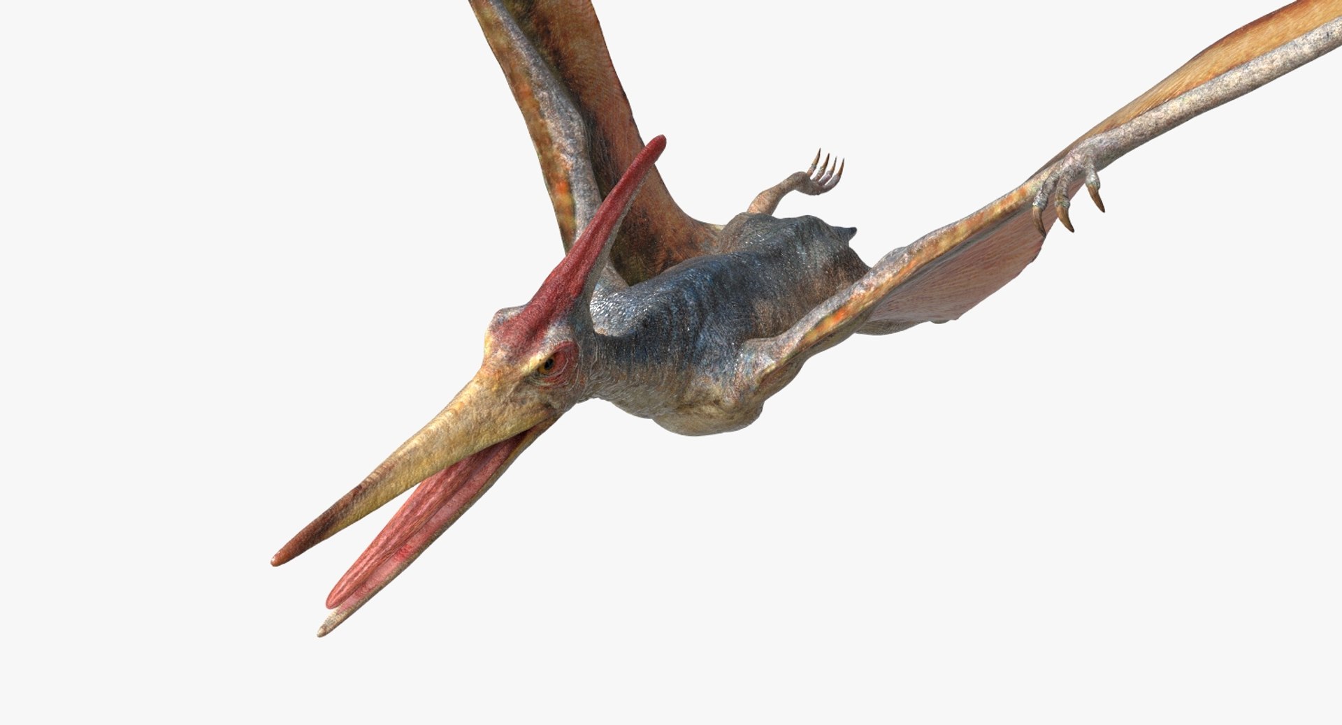 Pteranodon Rigged Obj