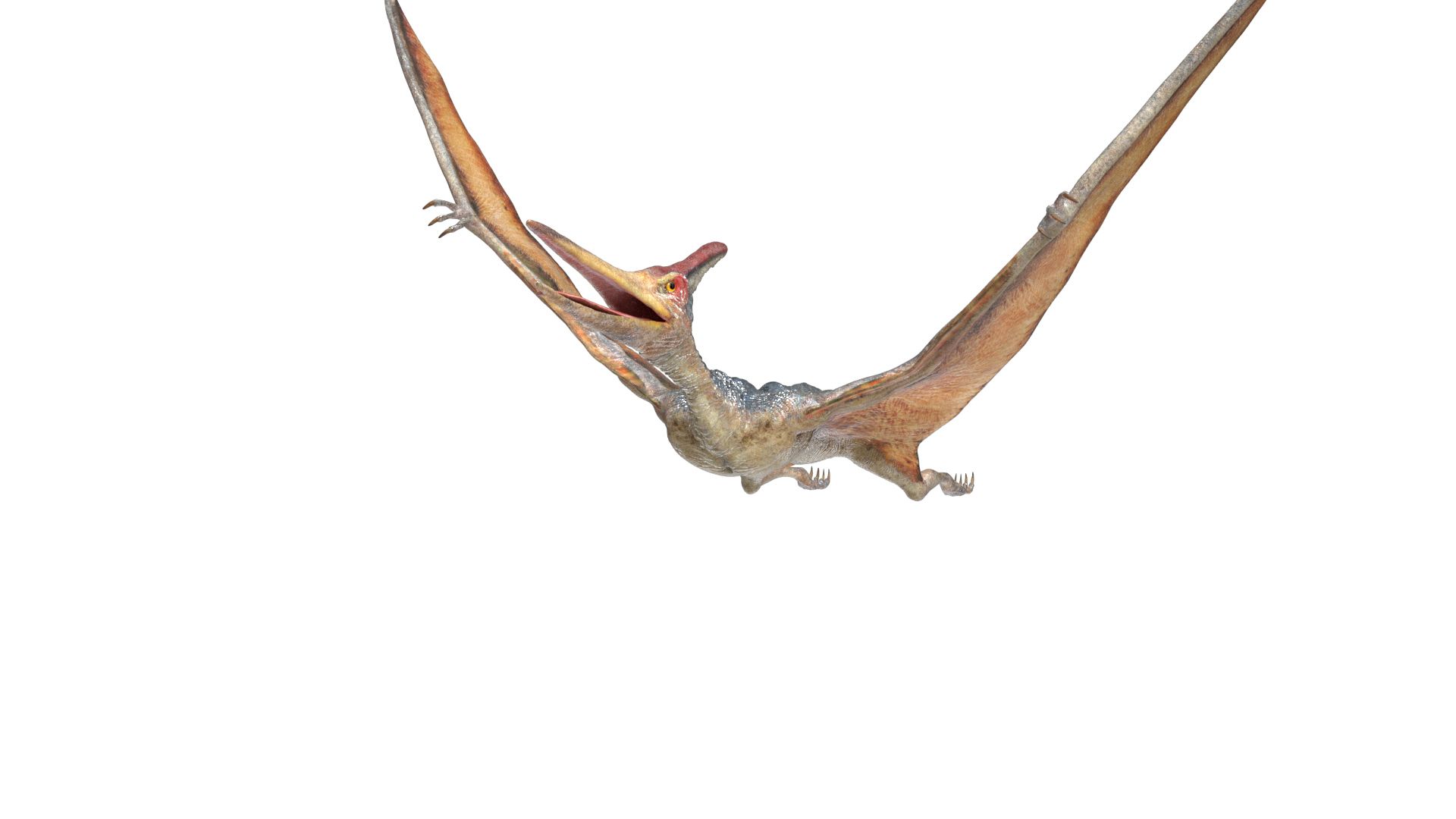 Pteranodon Rigged Obj