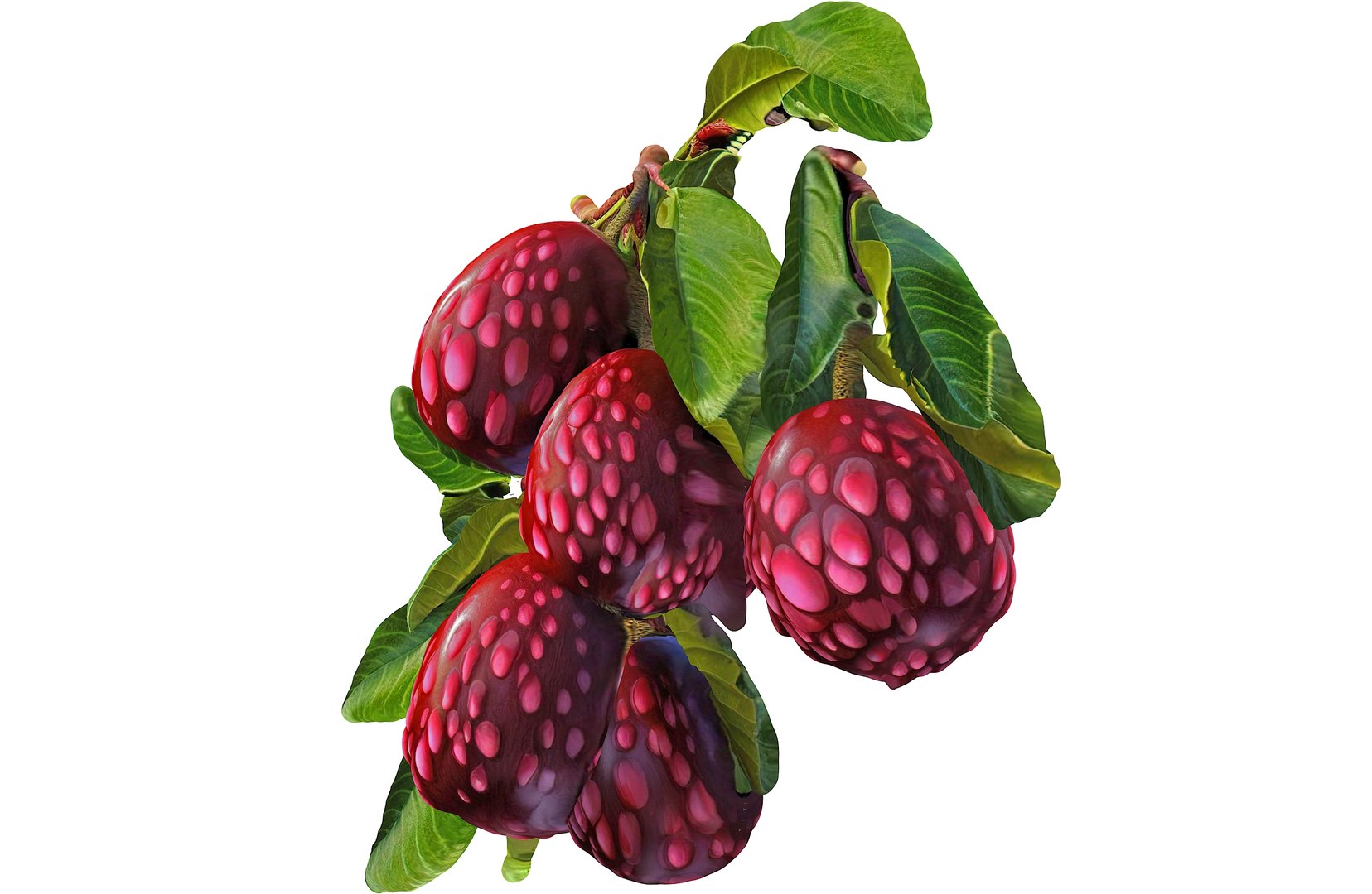 Magical Fruits Model - TurboSquid 2102737