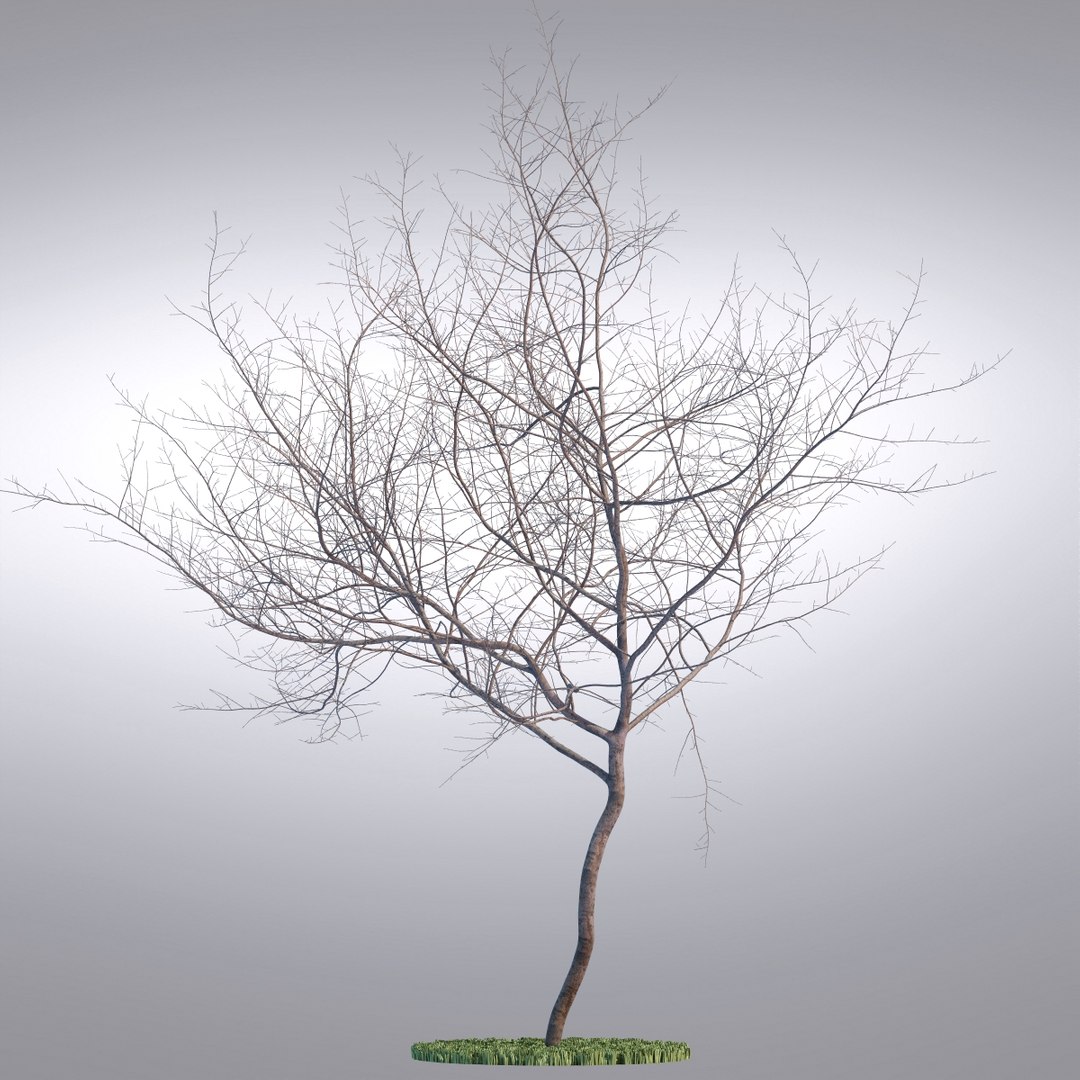 Hi Realistic Series Tree Max