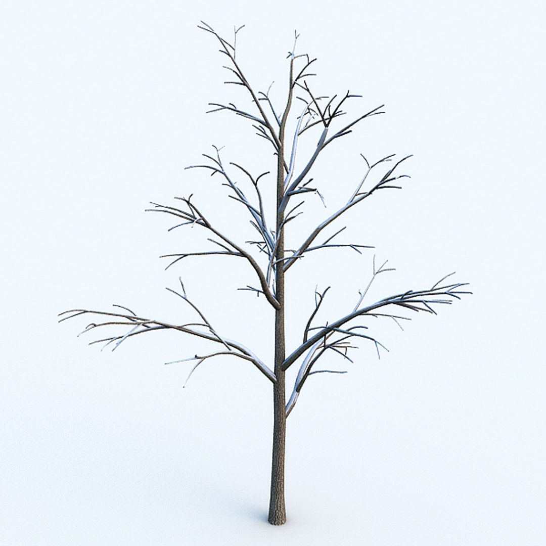 3d Model Snow Tree
