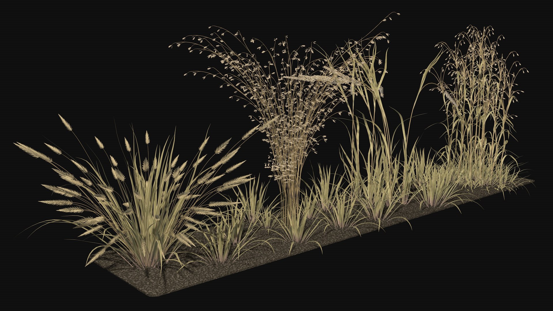 Dry Autumn Field Grass Model - TurboSquid 2285501