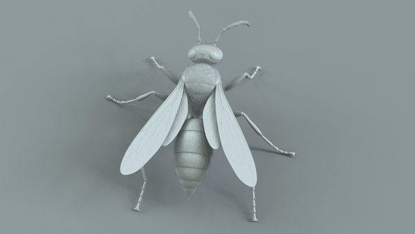 modelo 3d Avispa Vespula Vulgaris Rigged Xgen - TurboSquid 2246983