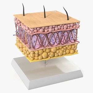 3d skin layers texture pack