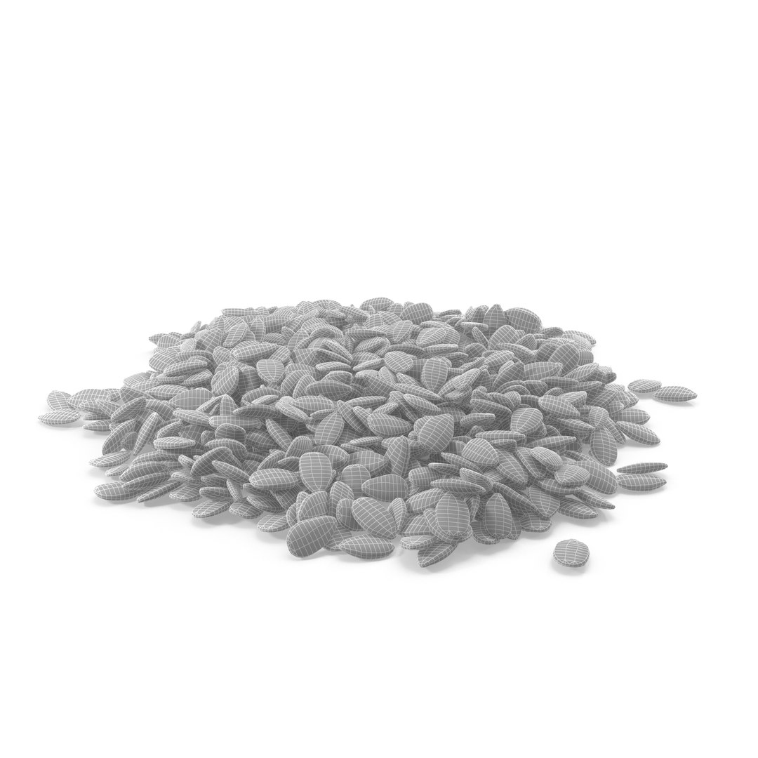 3D Sesame Seeds V1 Model - TurboSquid 2049962