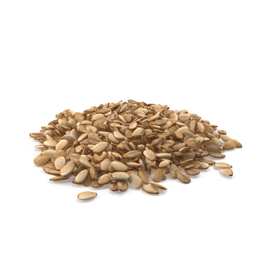 3D Sesame Seeds V1 Model - TurboSquid 2049962