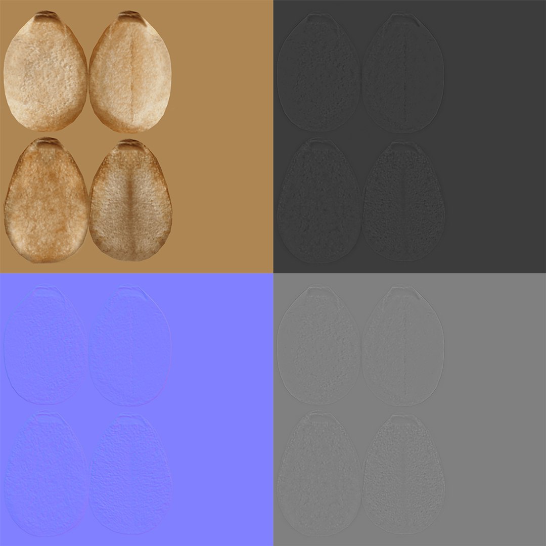 3D Sesame Seeds V1 Model - TurboSquid 2049962