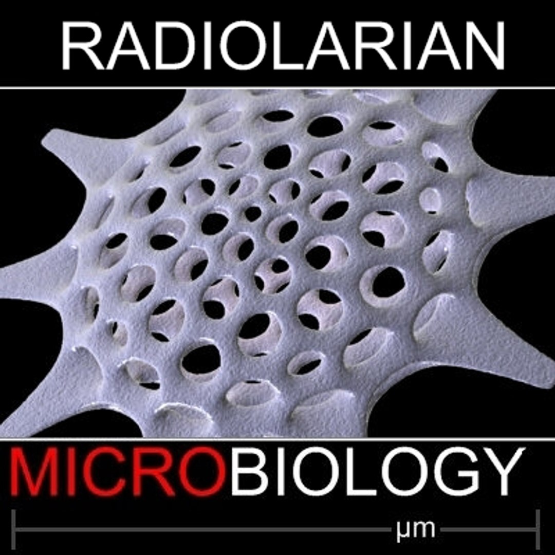radiolarian science 3d max