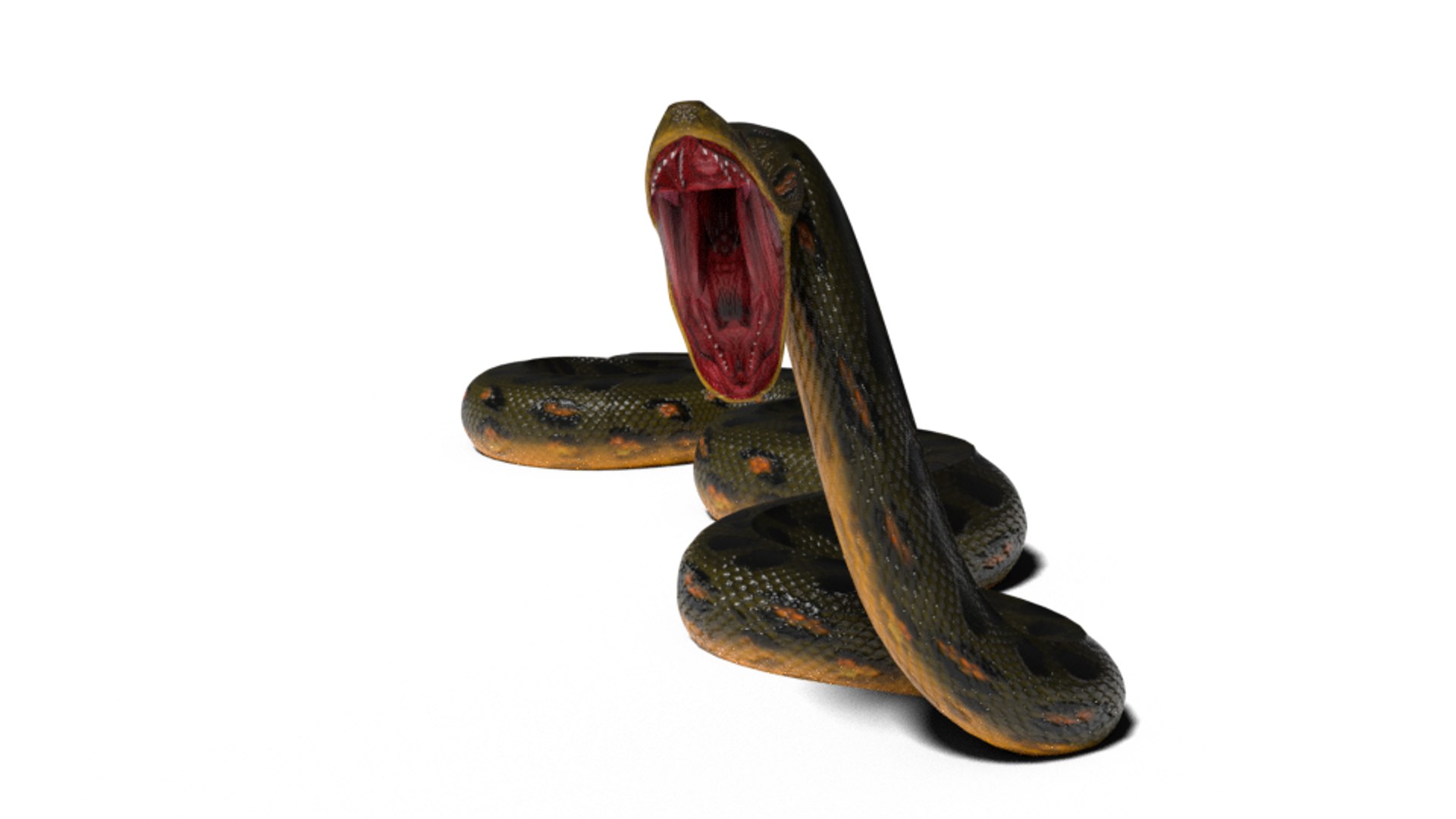 3D Anaconda Snake Model - TurboSquid 1631590