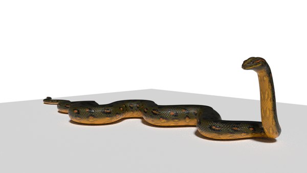 3D anaconda snake model - TurboSquid 1631590