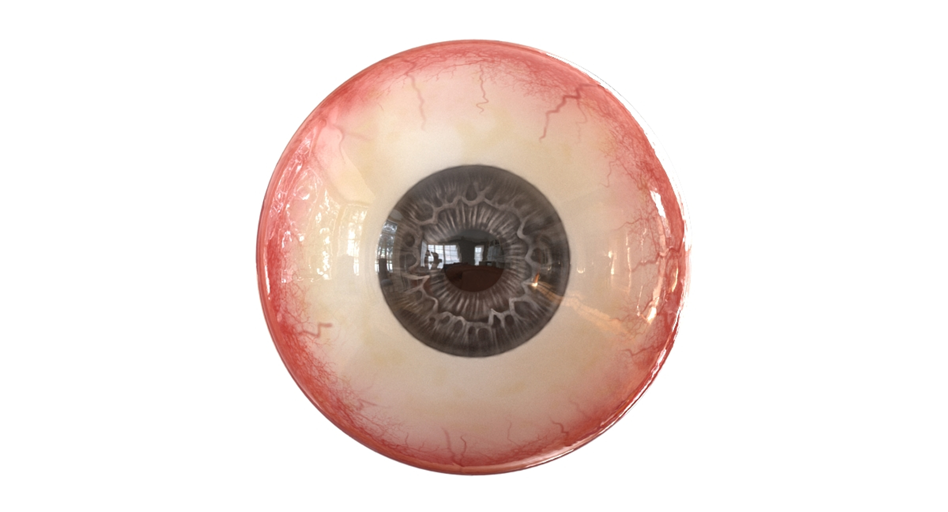 Human Eye 3d Obj