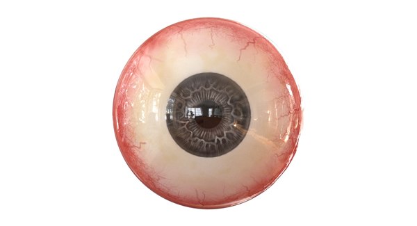 human eye 3d obj