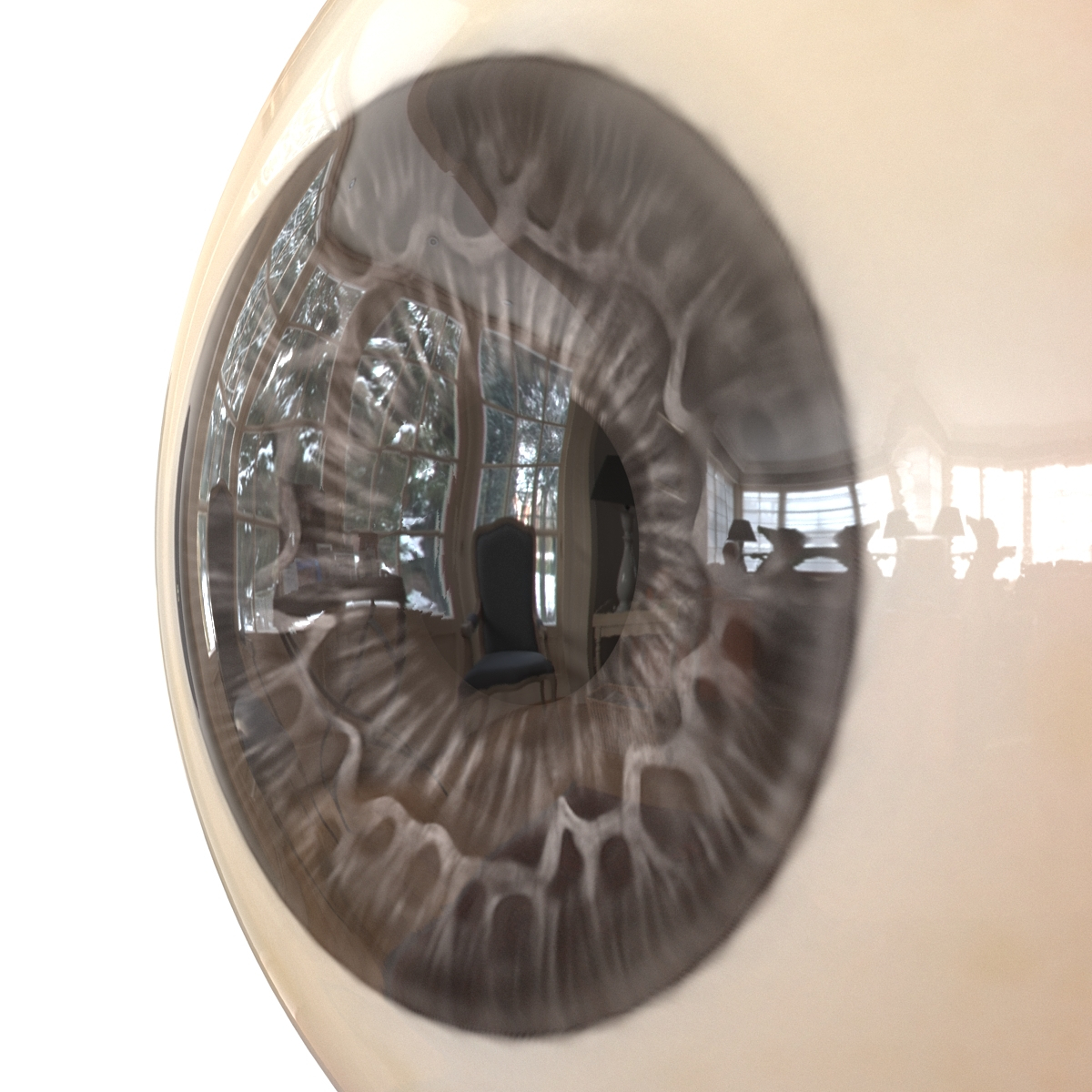 human eye 3d obj