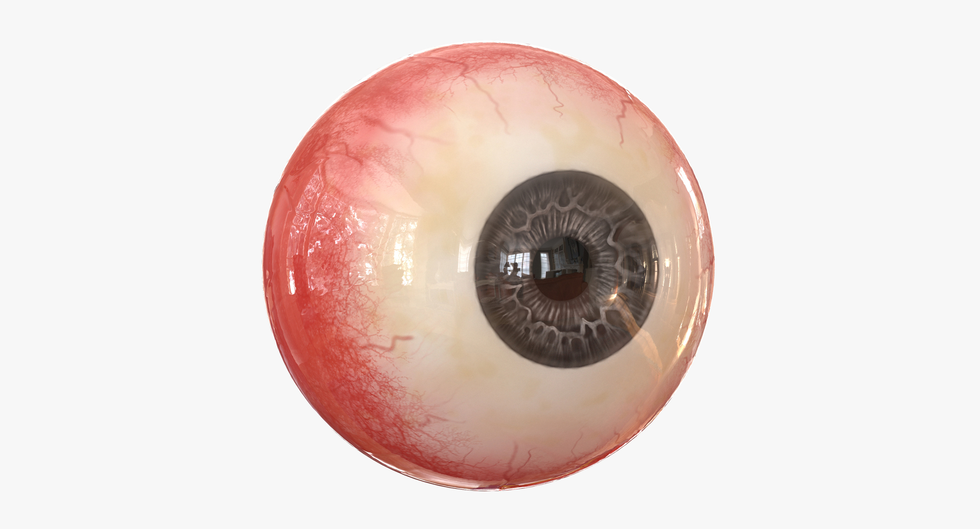 human eye 3d obj