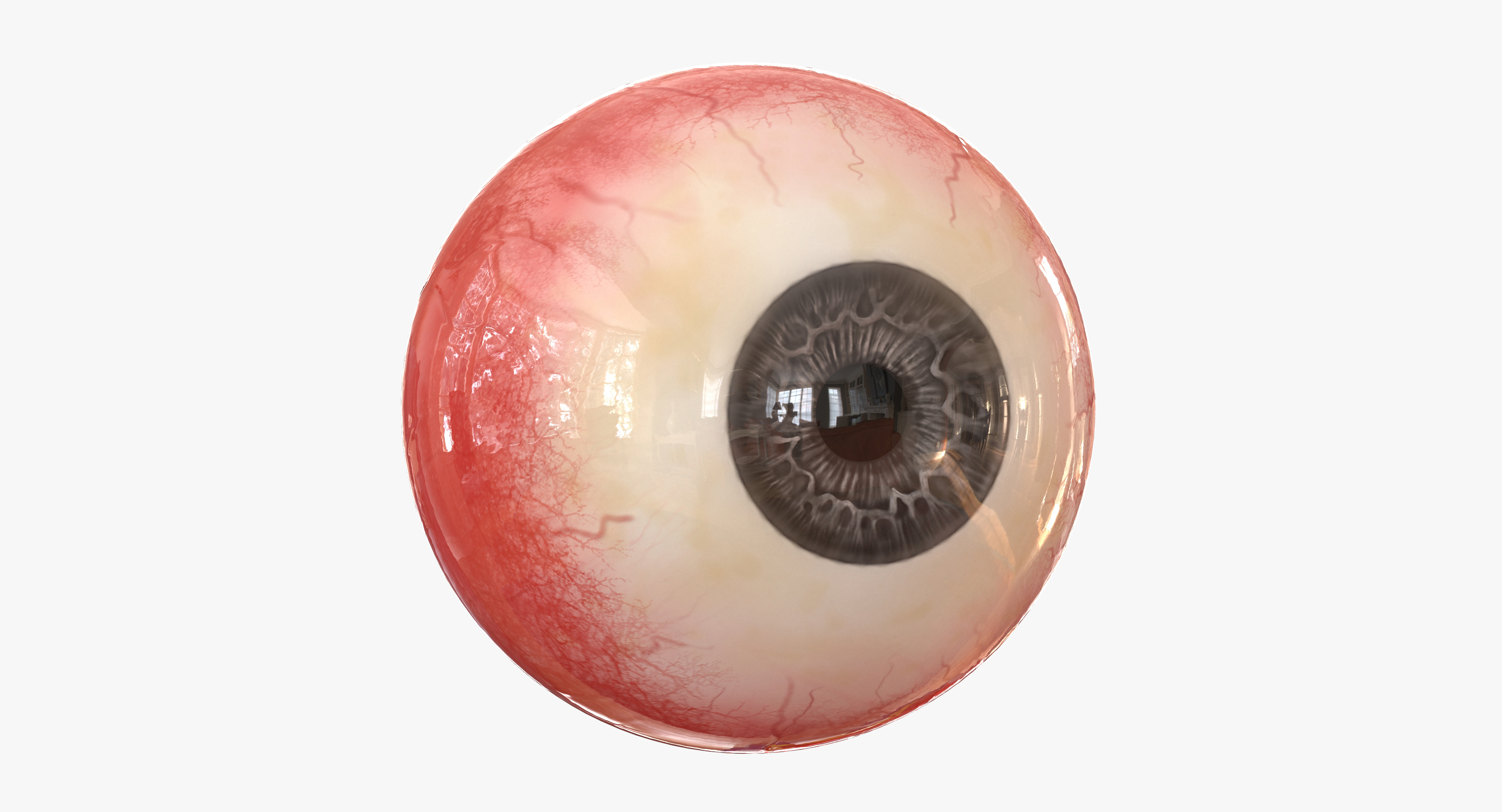 human eye 3d obj