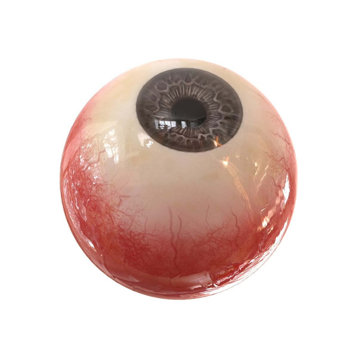 human eye 3d obj