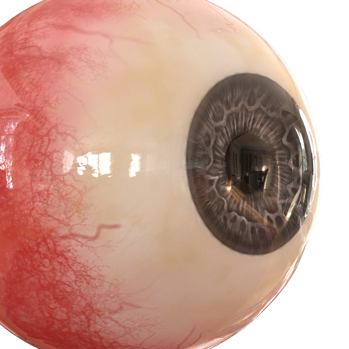 human eye 3d obj